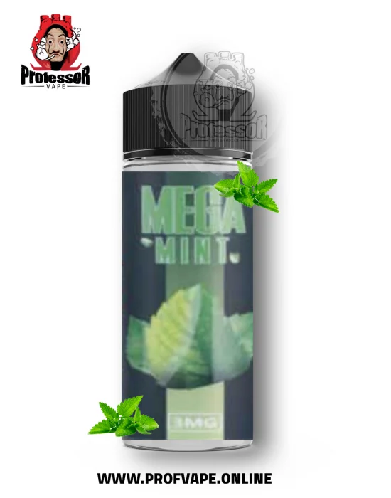 Mega mint 120ml - in saudi arabia